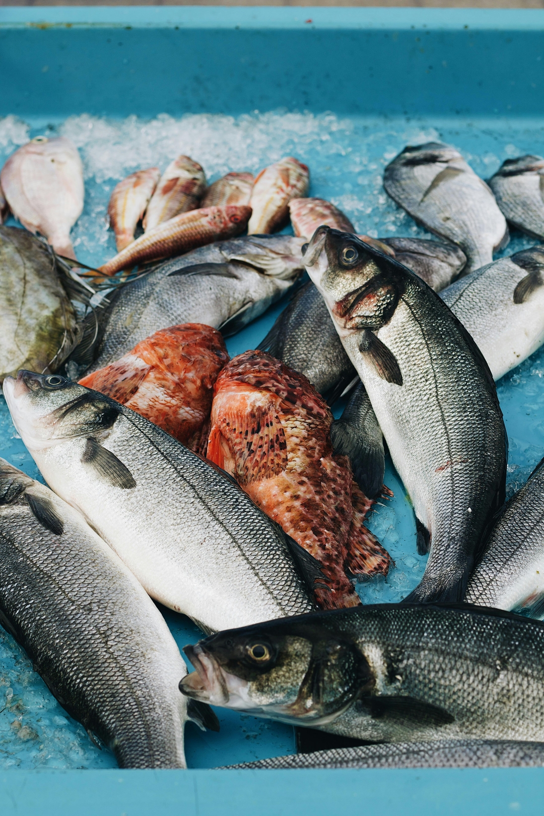 Nyami Nyami Seafood | Fresh, Flavourful Ocean Delights in South Africa